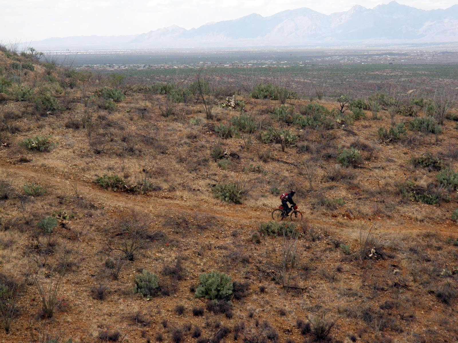 My Two Schillingsworth: AZT300 - 1st Attempt