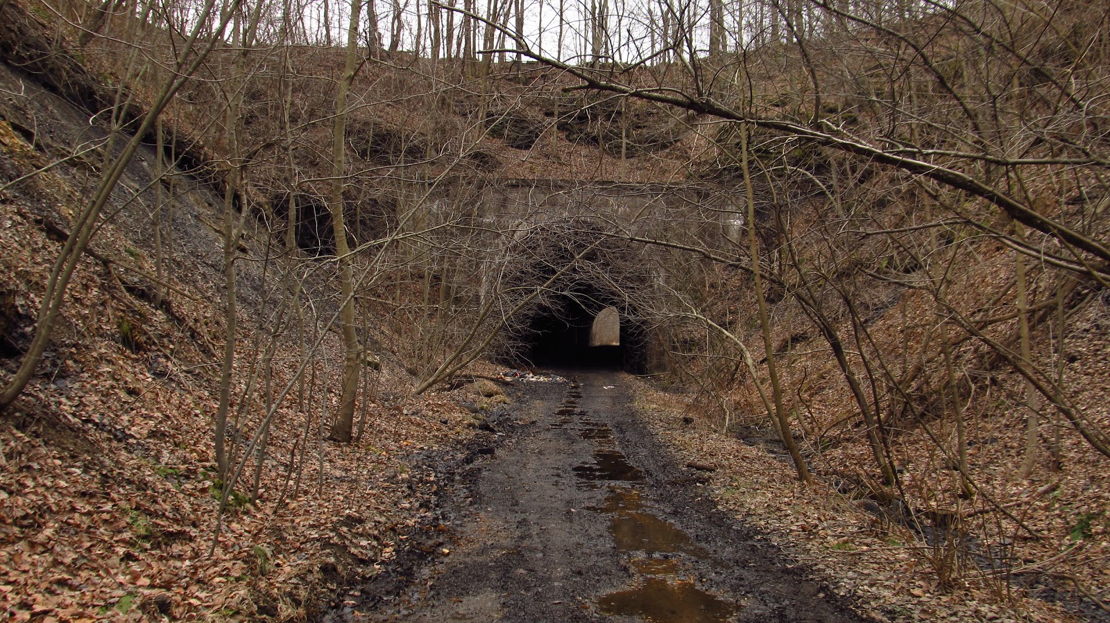 Old Industry of Southwestern Pennsylvania : Burchinal Coke Works ...
