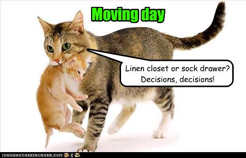 WanderingBohemianPhoto: Moving Day. Again!