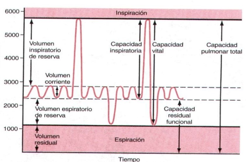 BIOFÍSICA MÉDICA: VOLÚMENES Y CAPACIDADES PULMONARES