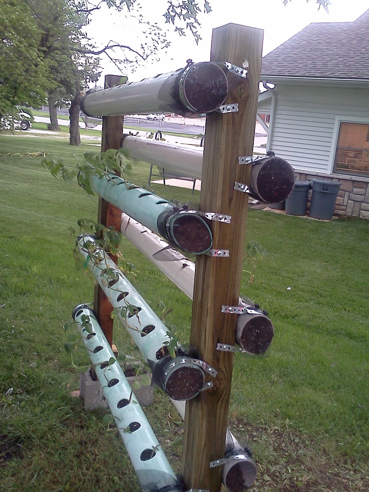 My Pipe Garden Project