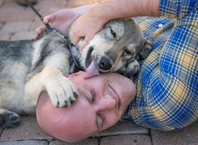 White Wolf : Religious leaders invoked blessings and prayers for wolves