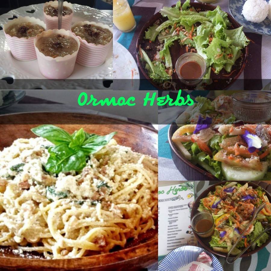 Ormoc Herbs Organic Farm and Restaurant - 8th Infantry Division