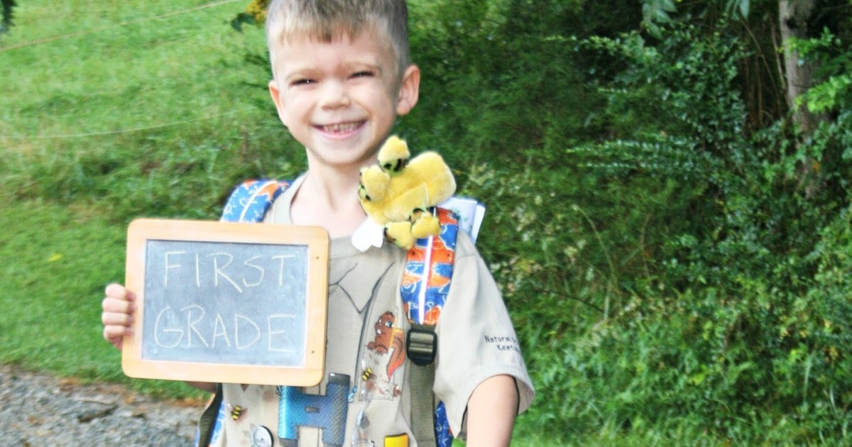 Two Bears Farm and the Three Cubs: A First Grader