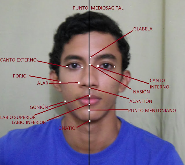Dentistry's place.: ANÁLISIS DE SONRISA