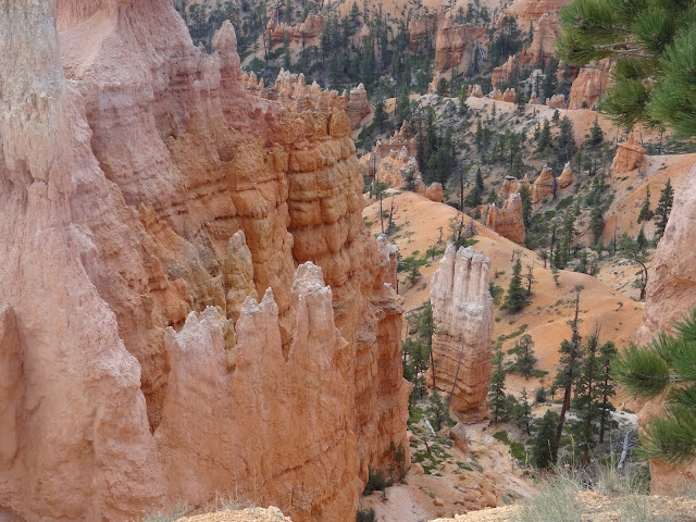 Live and Learn-Toss and Turn: Utah Vacation--Day 5, Bryce