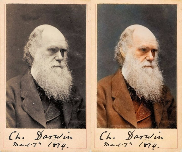 34 Colorized Historical Photos That Will Change How You Feel About The ...