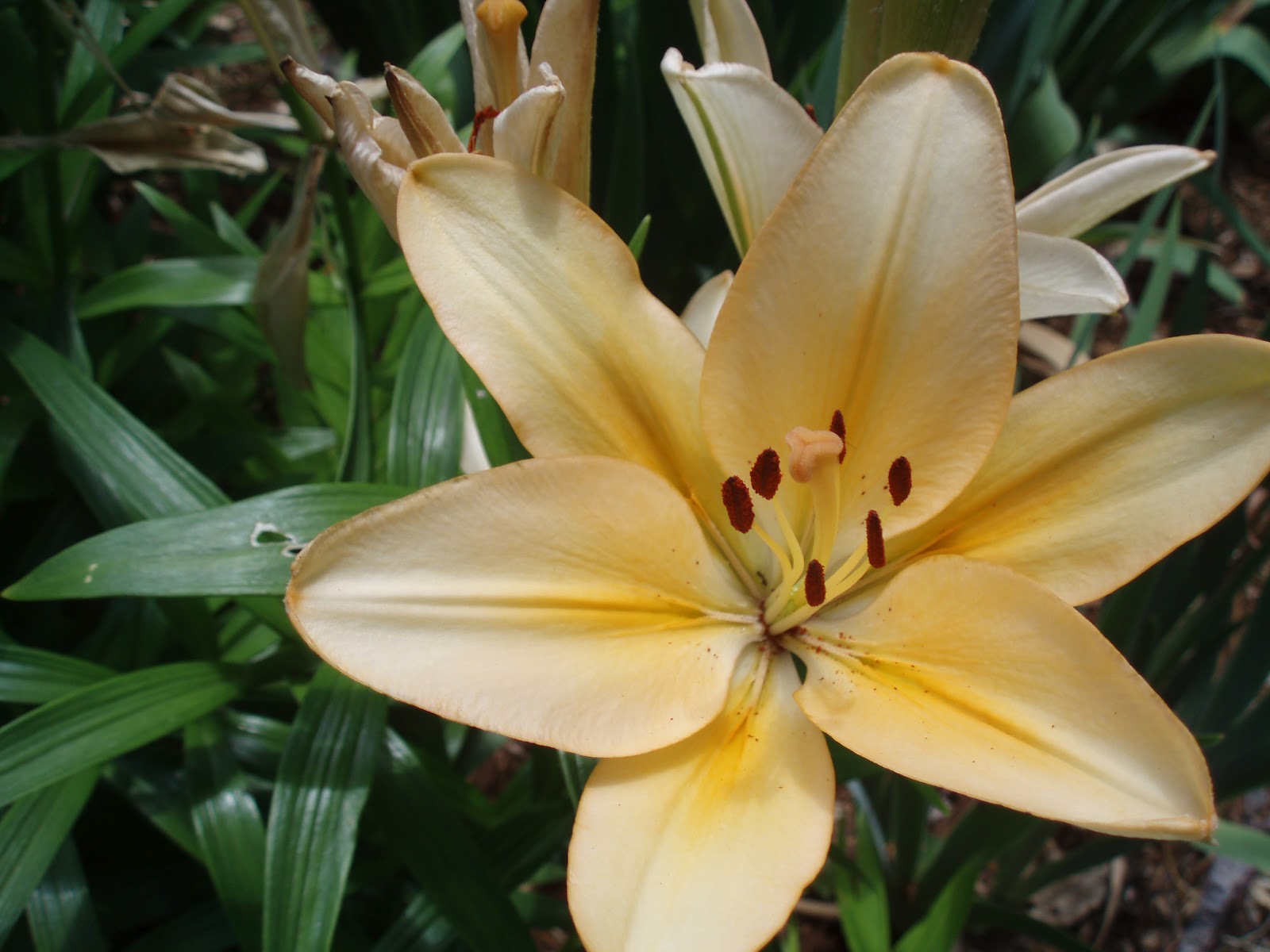 A New Chapter: June 2012