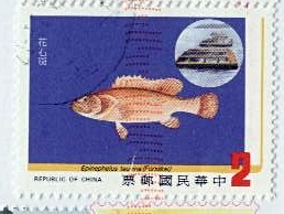 Mail Adventures: Fishes on Stamps