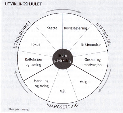 Rose-Maries litteratur- og filmblogg: Susann Gjerde: "Coaching - hva ...