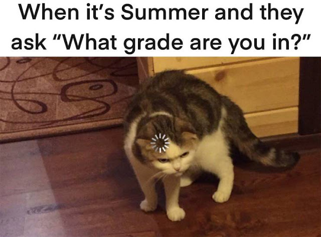 Daily Funny Collection 583 (32 Pics)