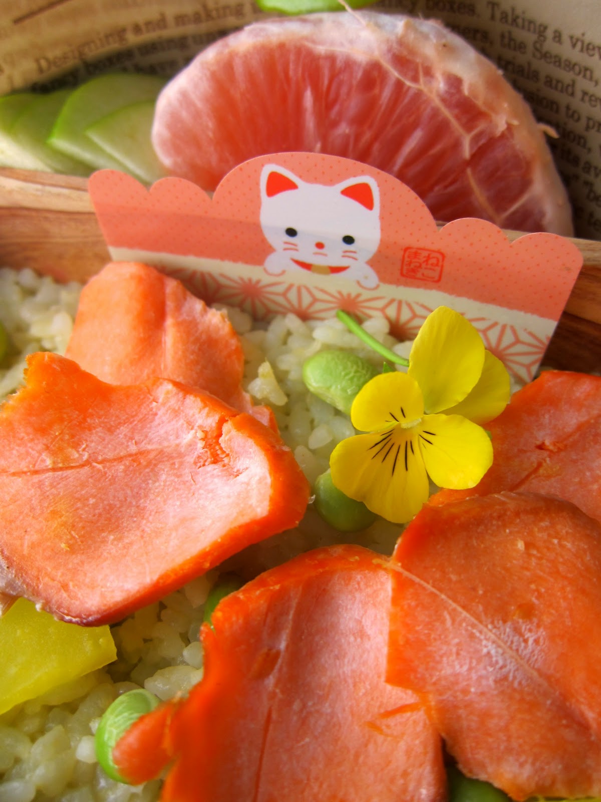 Bentobird: salmon and rice bento