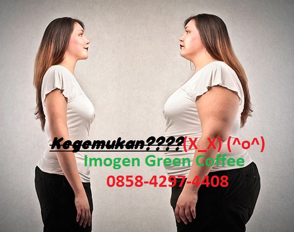 IMOGEN GREEN COFFEE Aceh Barat Daya