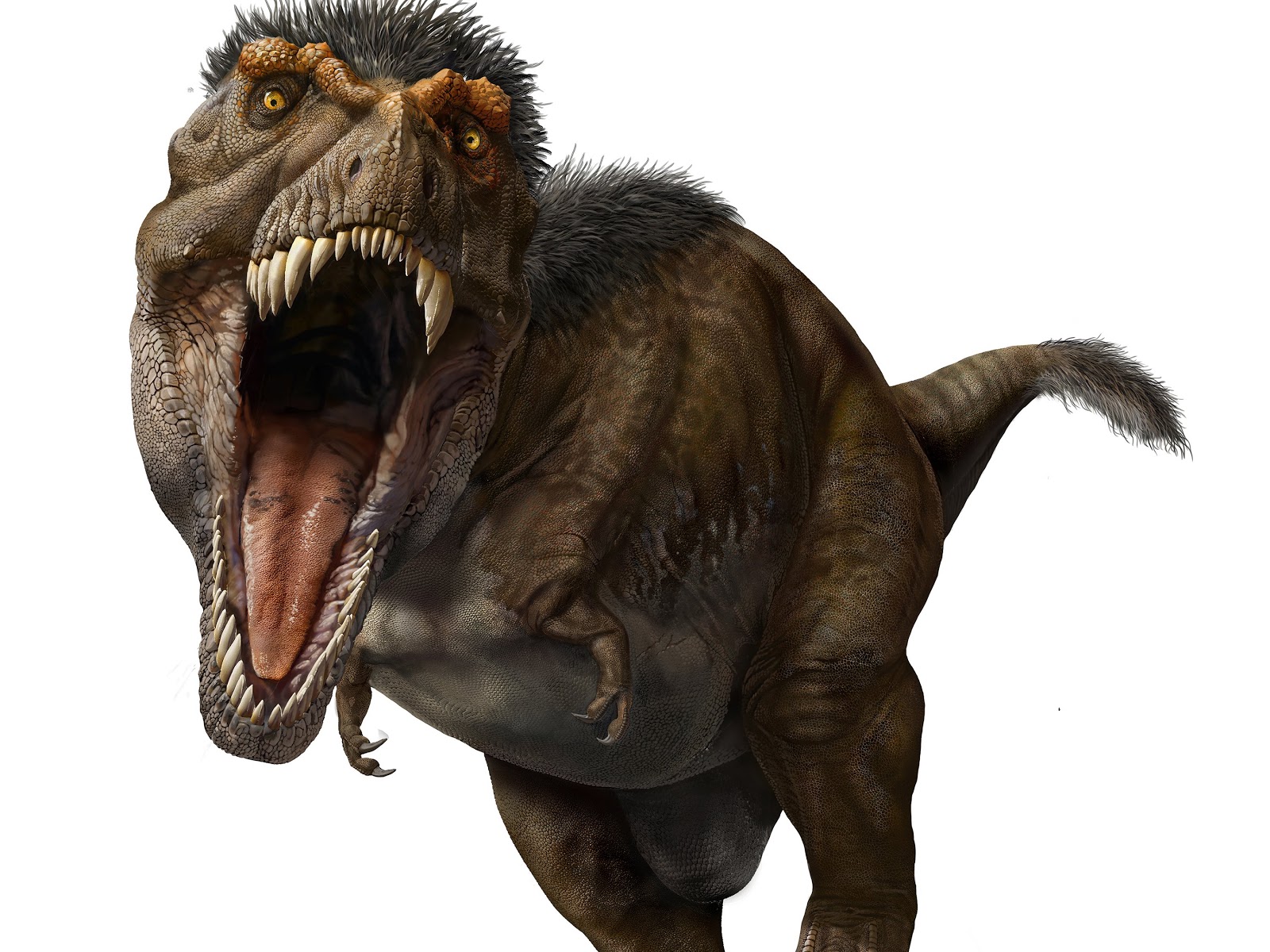 T. Rex Really Could Crush a Car in Its Jaws, Without Damaging Its Own Skull