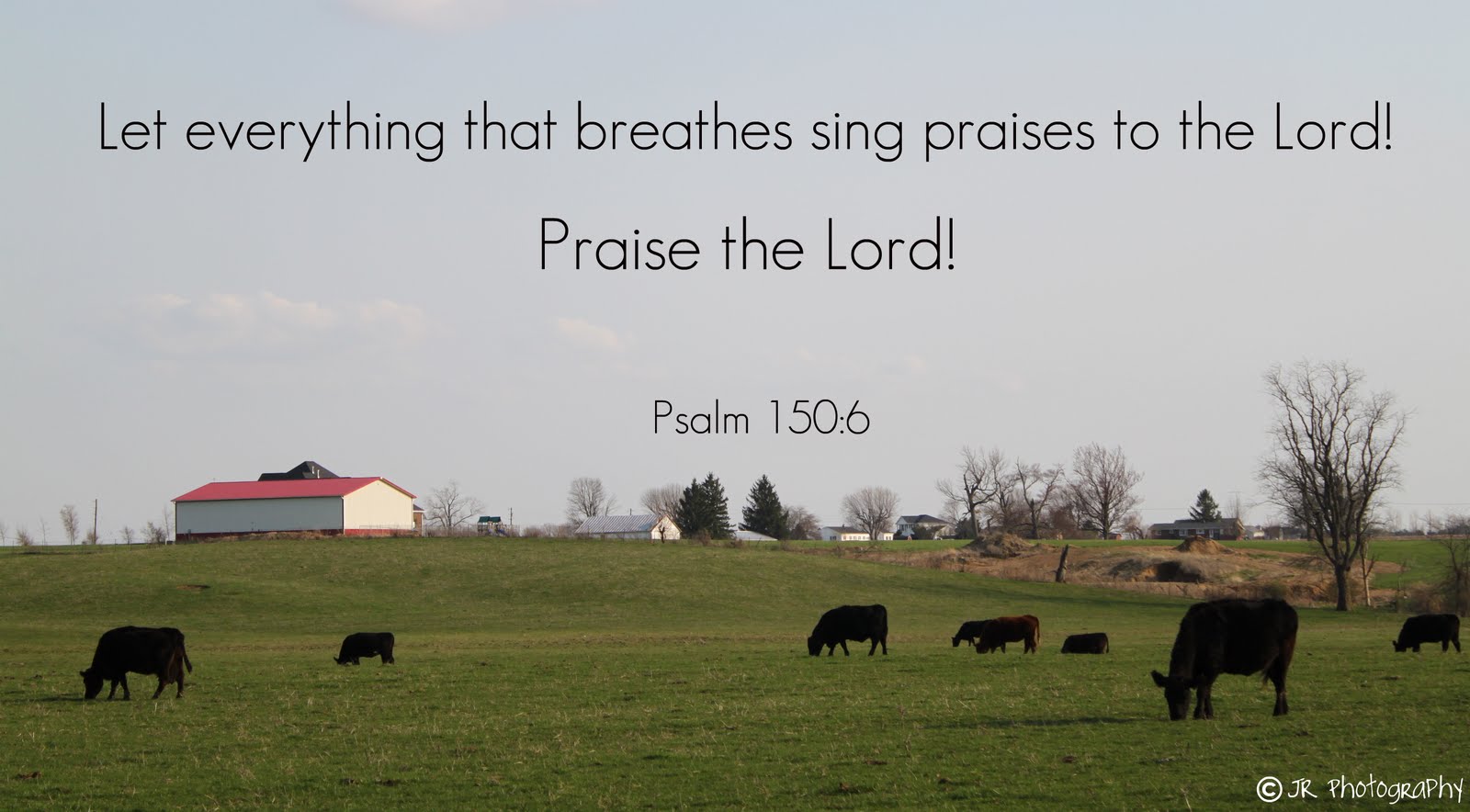 Image ine Psalm 150 6