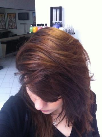 Vive Les Cheveux par MeiiLy: Résultat en photos coloration Logona ...