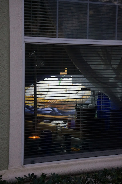 Robbin Neff Photography