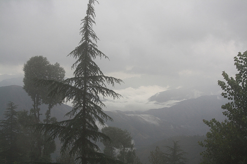 Himachal Pradesh Tourism | Himachal Pradesh Tourist Places: Chail ...