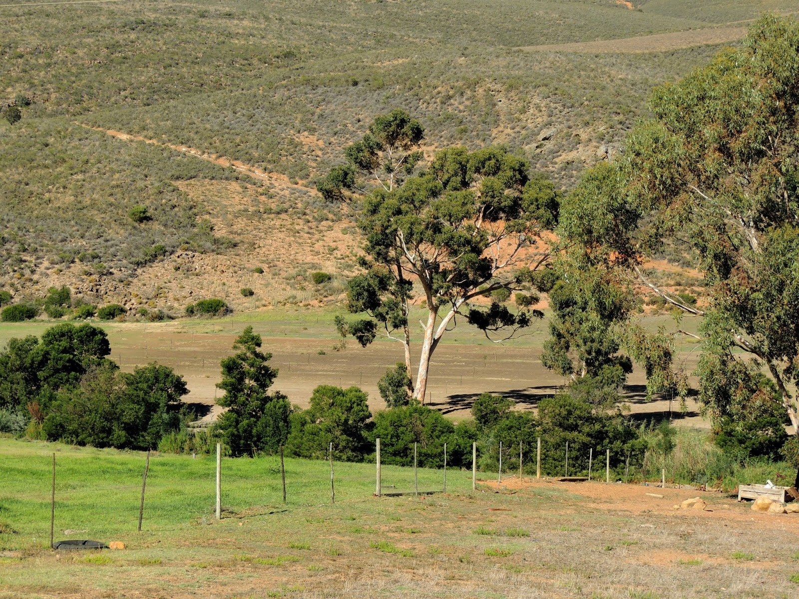 Taking Charge of My Life: Photos of a South African Farm