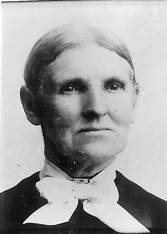 TheAncestorFiles: Ann Prior Jarvis Diary — March 29, 1884