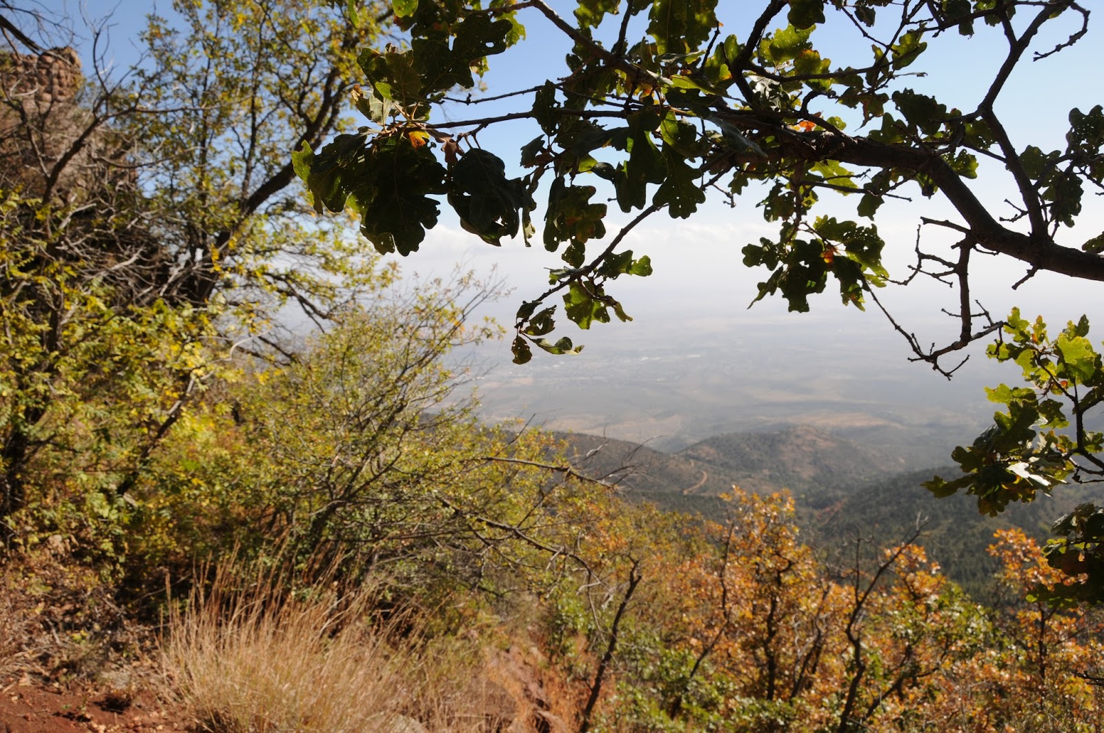 Arizona Hiking: FALL COLOR ON MINGUS & WOODCHUTE MOUNTAINS