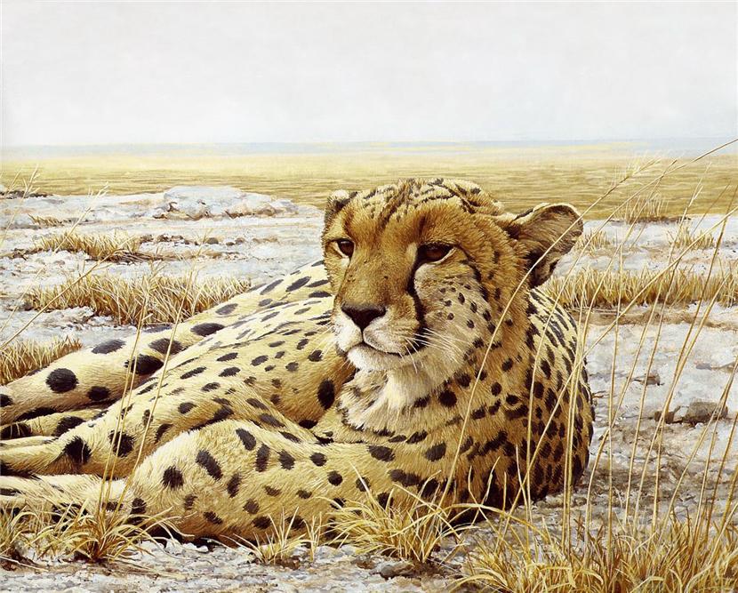 Artodyssey: Robert Bateman