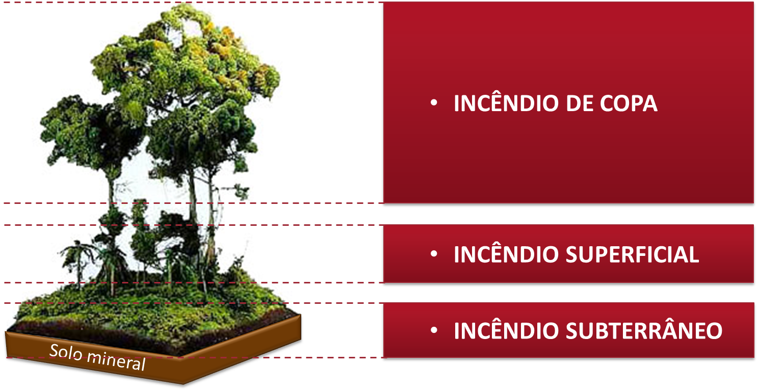Incêndios Florestais: Aula 3 - Classificação dos incêndios florestais