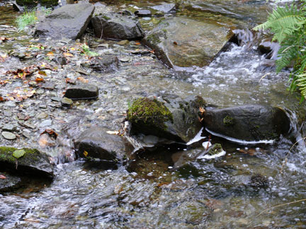 Still Standing on her Head: Tuesday Poem: Inversnaid, by Gerard Manley ...