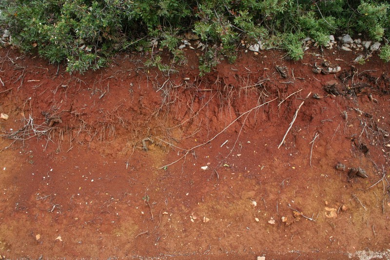 8 Jenis Tanah di Indonesia - TKJ