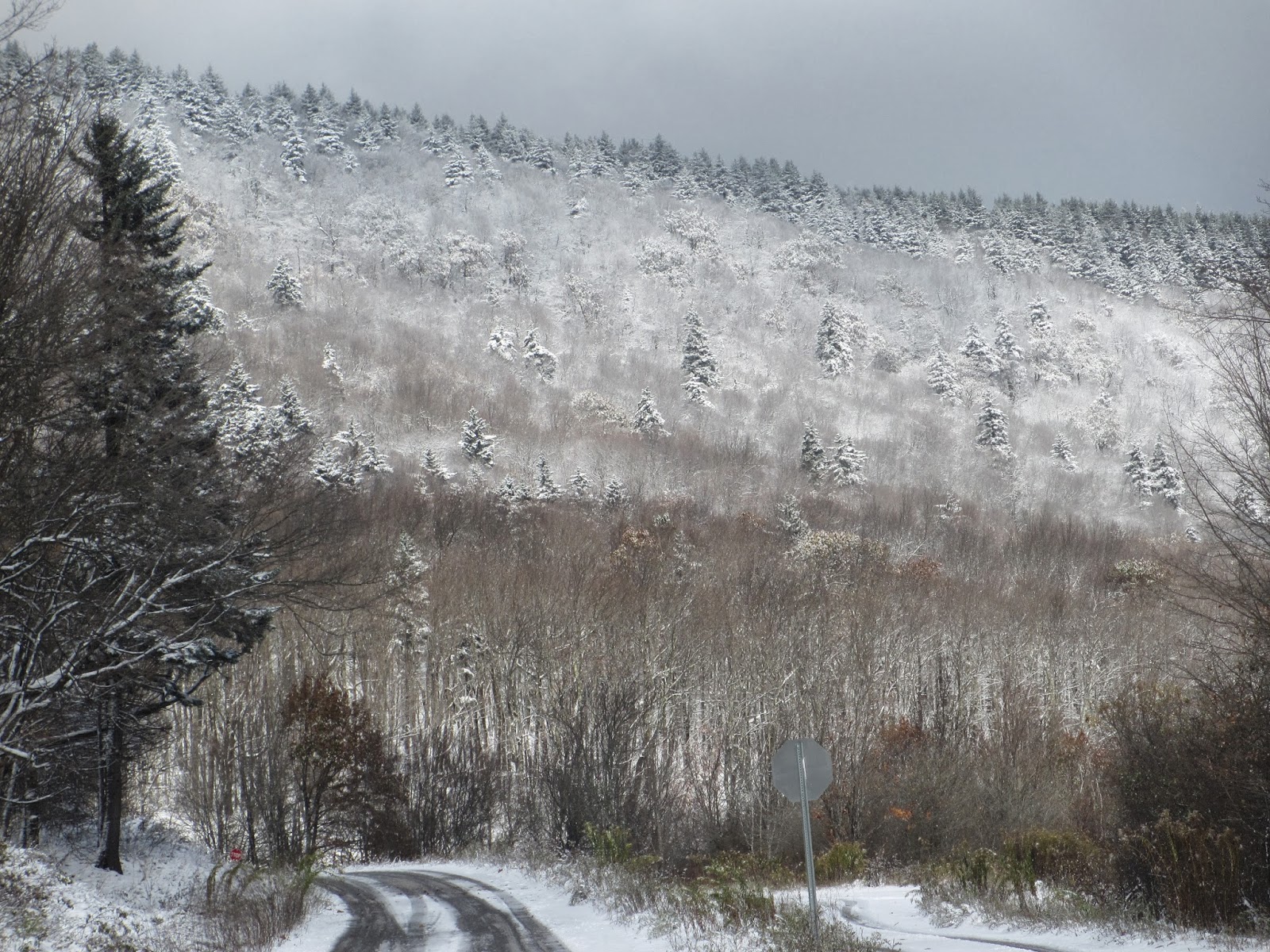 Cannundrums: Spruce Knob - High Point of West Virginia