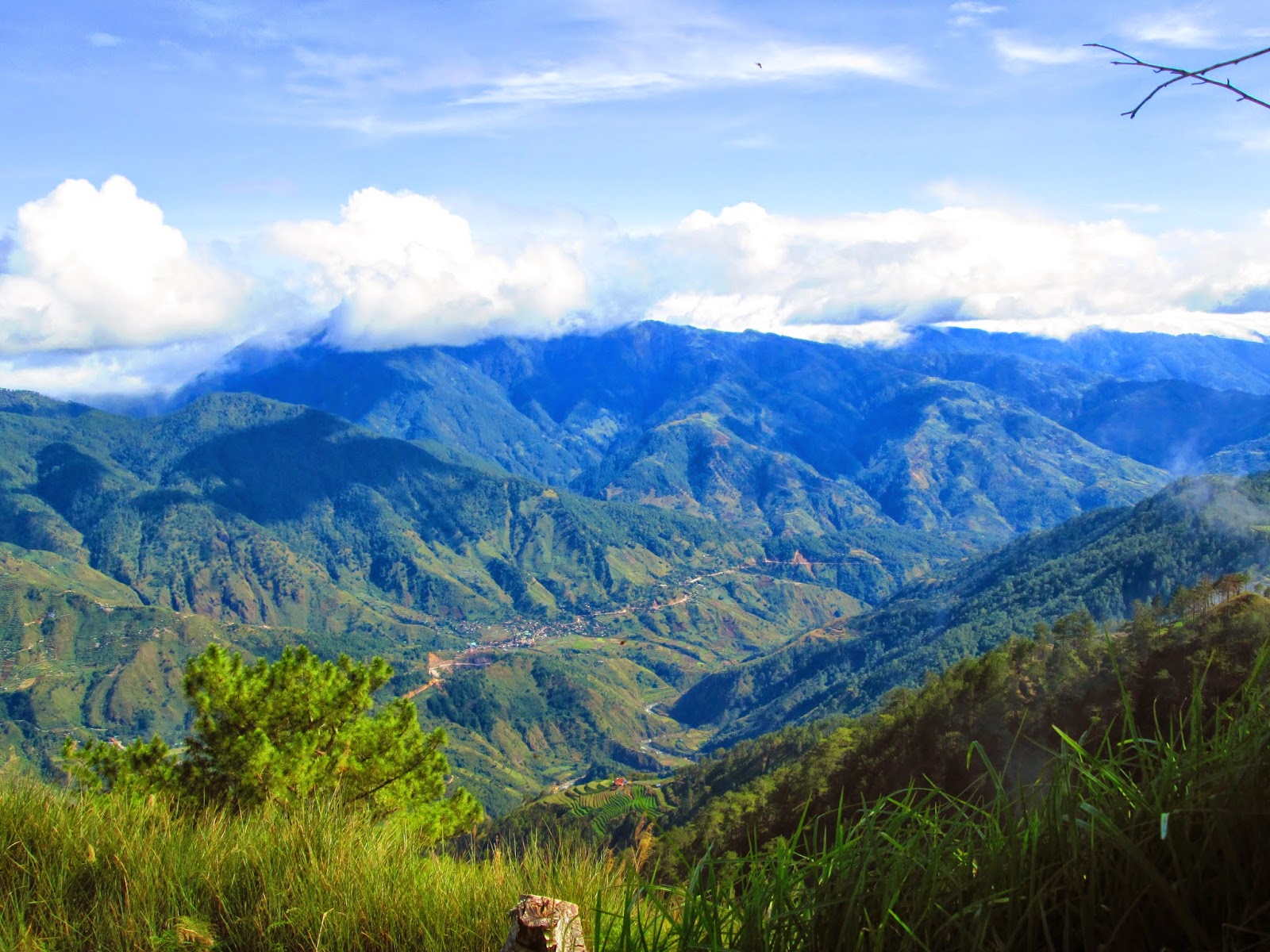 Mt. Timbac, Atok Benguet | Tara, let's do it!