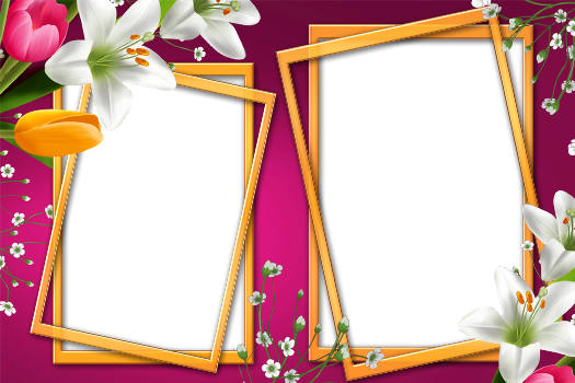 Free Download Wedding Frame Collection - 00001 | Free Photo Frame