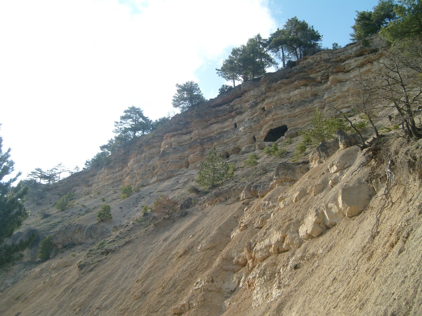 ILGIN ARAŞTIRMALARI: Ilgın Çiğil Sögütlü İni Mağaraları