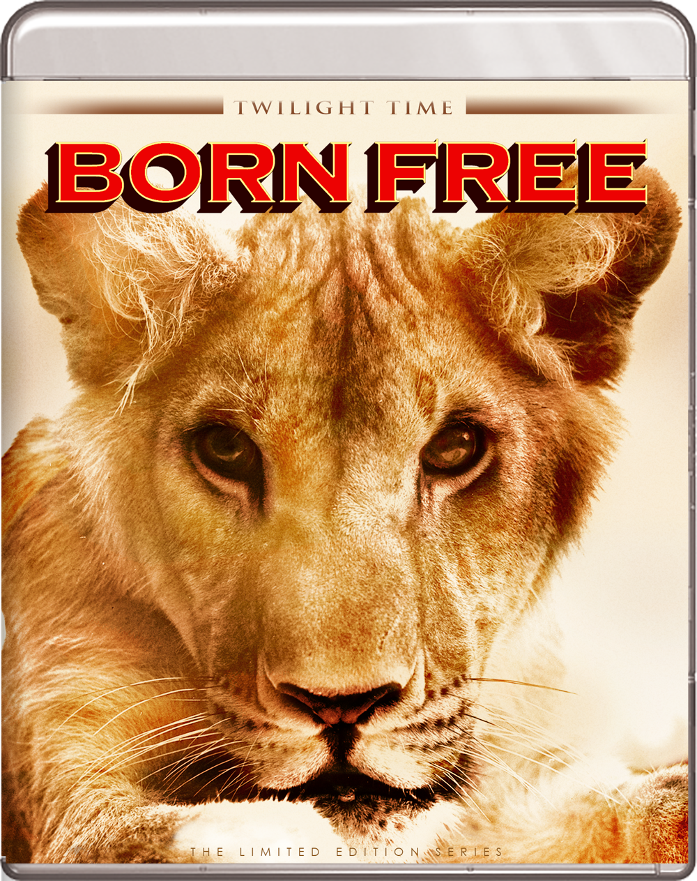 CULTURALMENTE INCORRECTO: "Born Free": La historia de "Elsa", la leona ...