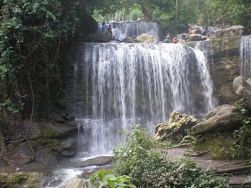 El Estado Falcon: Estado Falcon