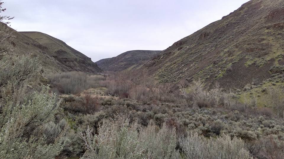 Umtanum Ridge Crest - The First Half - Islands to Mountains