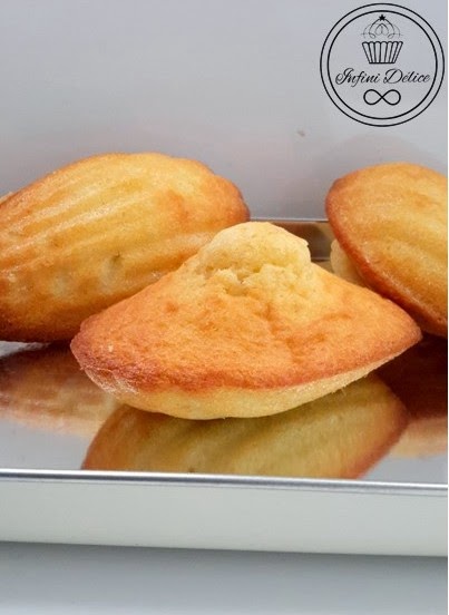 Infini Délice: Madeleines