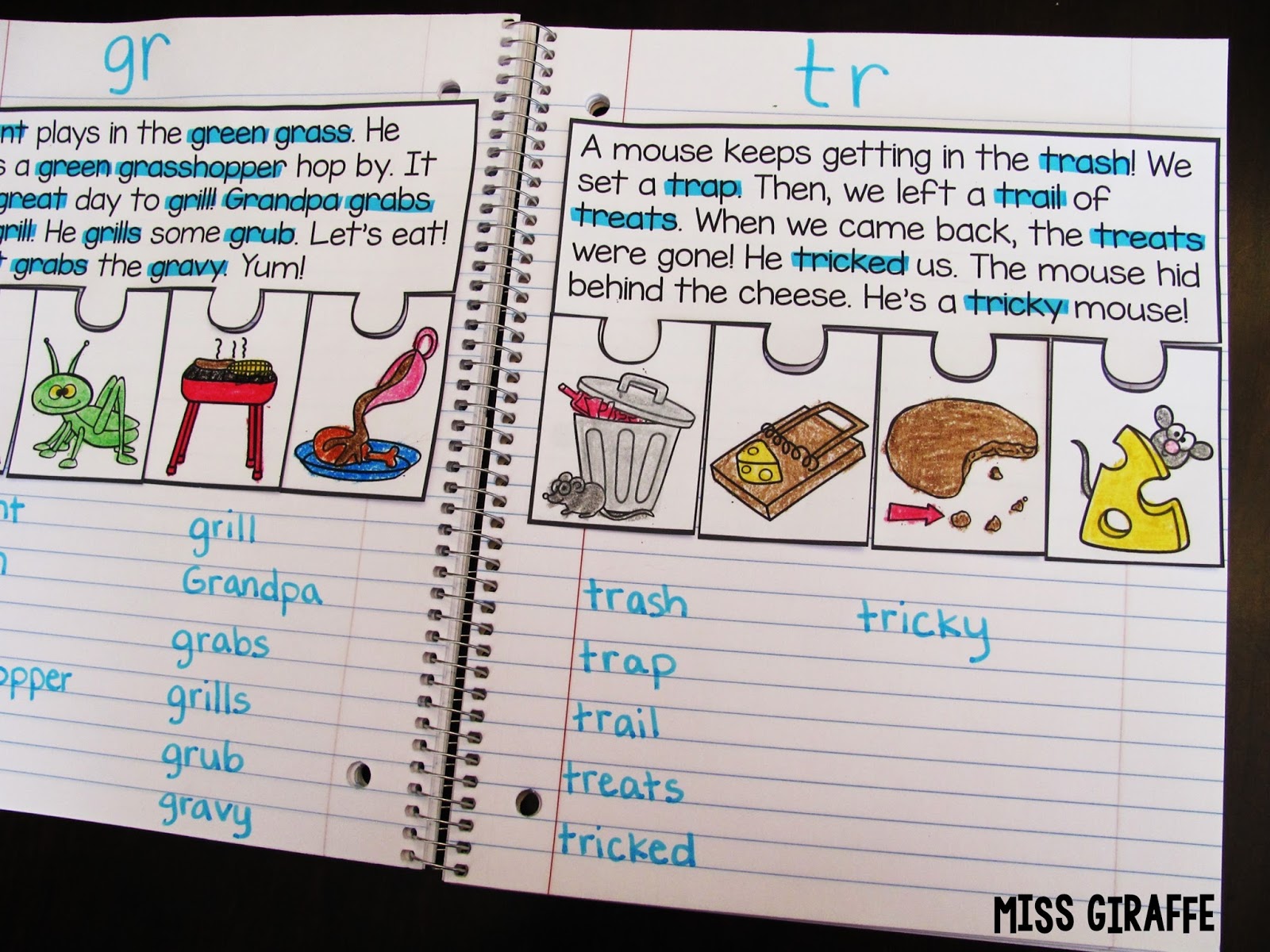 Miss Giraffe's Class: Phonics Fluency Notebooks
