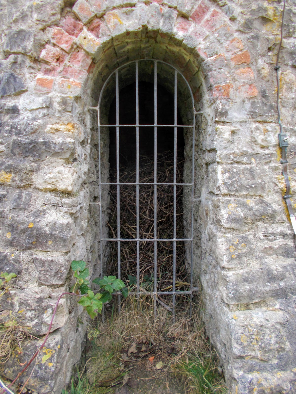 Off the Beaten Track in Somerset: Smitham Chimney, East Harptree Woods