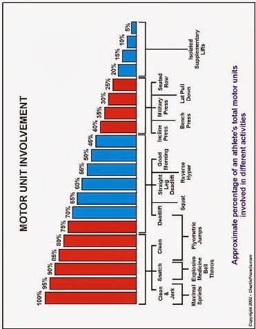 Keiran Halton Strength and Conditioning Internship