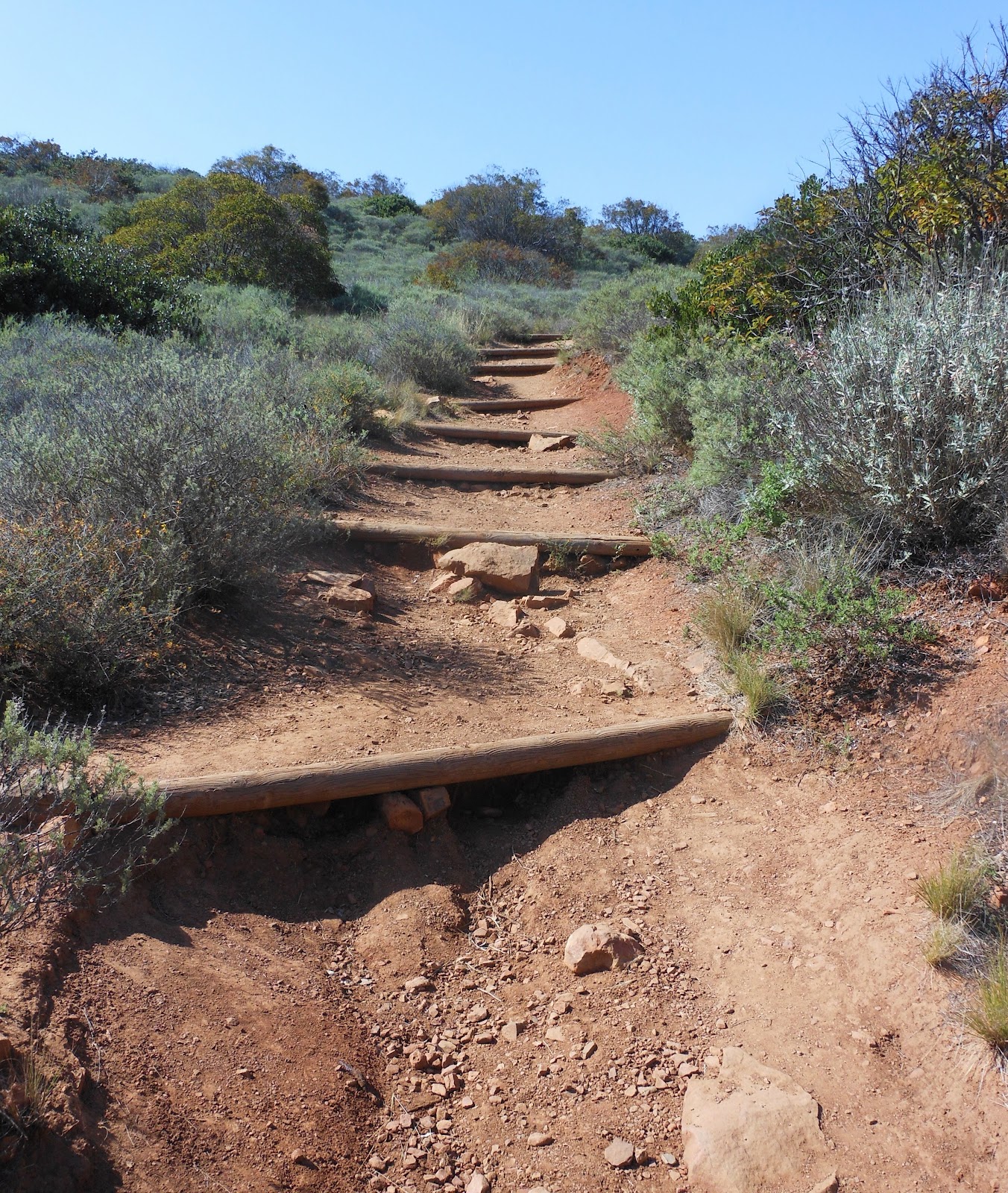 1000 Hikes in 1000 Days: Day 547: Scenic Trail - Over the Great Sand ...