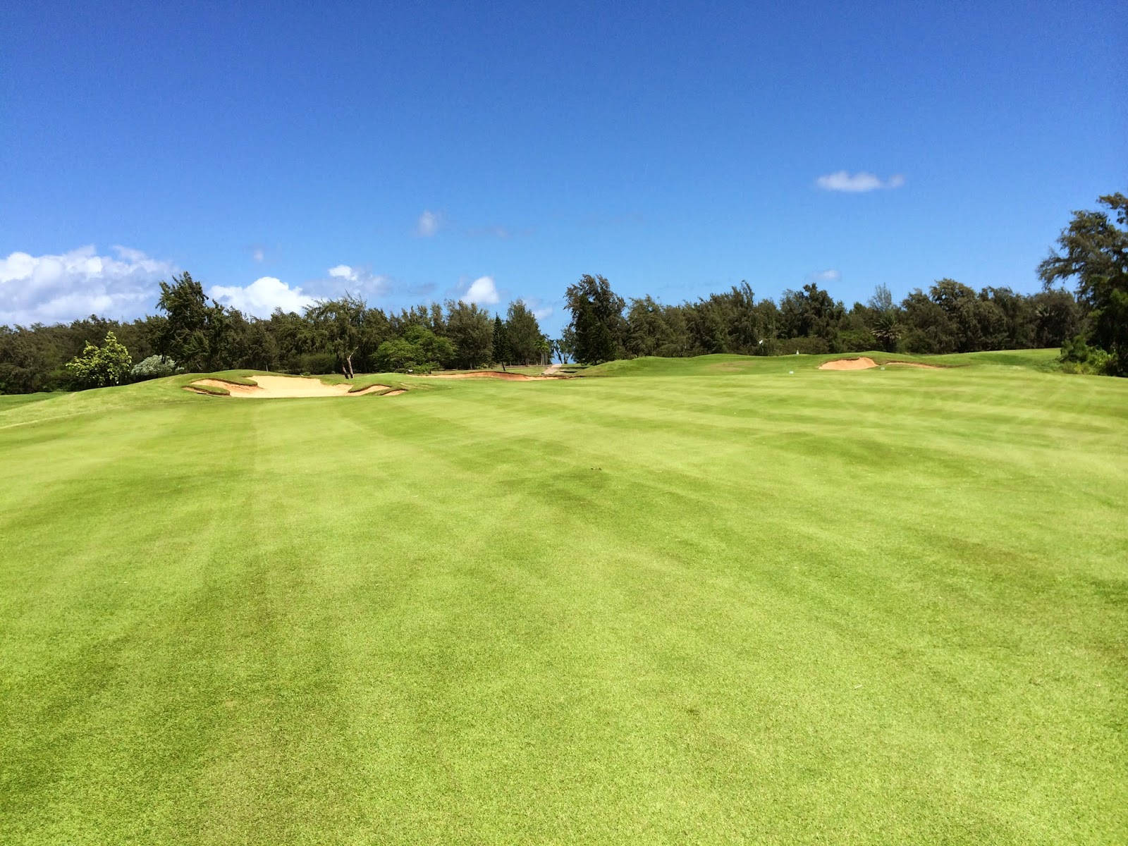 TASTE OF HAWAII: TURTLE BAY GOLF RESORT - THE PALMER COURSE