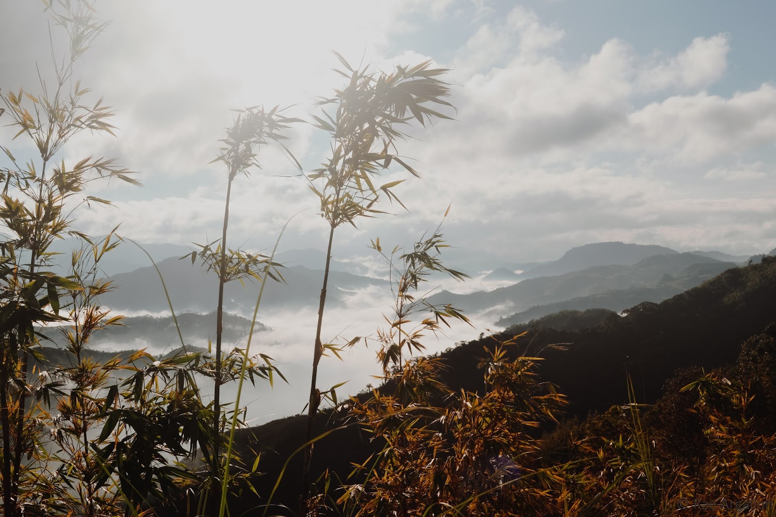 MT. MAYNOBA'S SEA OF CLOUDS — RAESCAPE