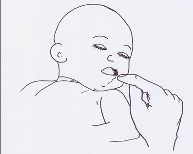 La parole vient en bougeant...: Le réflexe de succion.