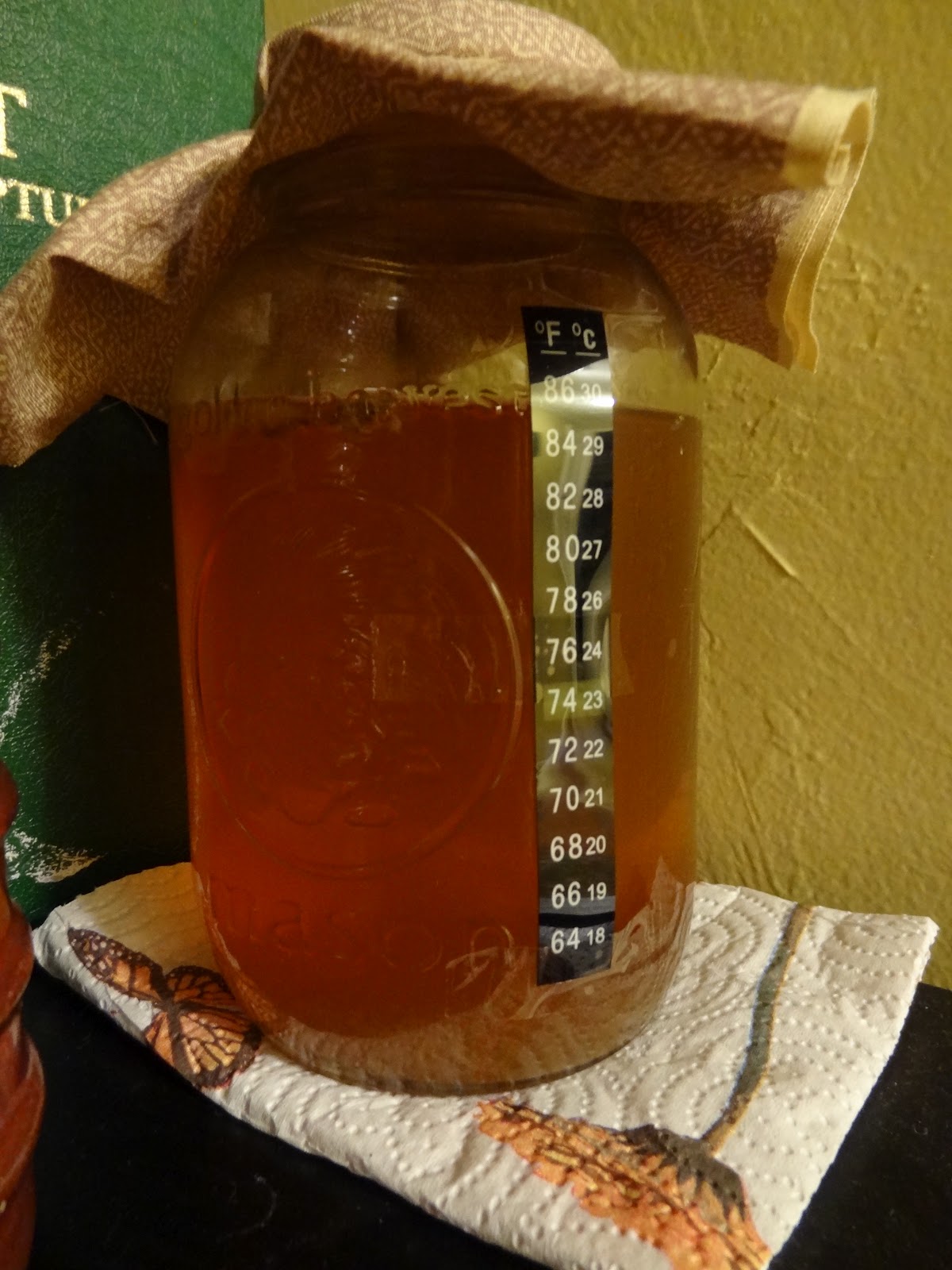 My Secret Recipe Spot: Growing a SCOBY