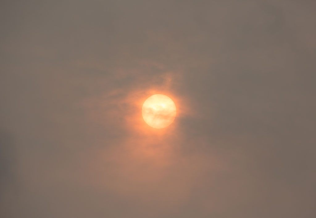 Shadows & Light: Weird Sun