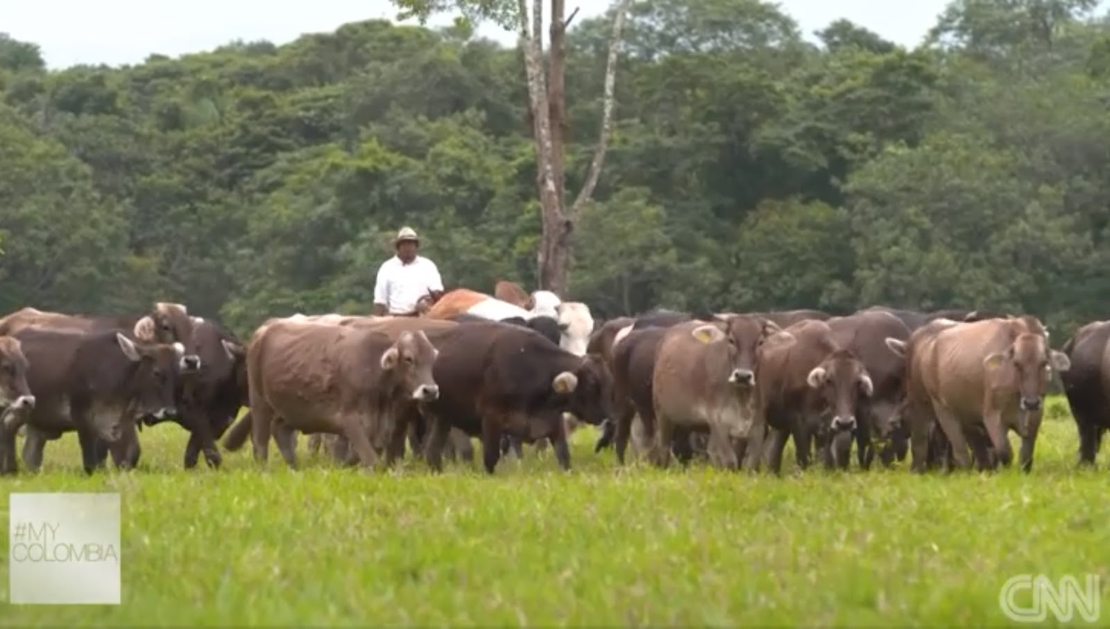 CNN destaca la cultura llanera e invita a conocerla - Agenda Hoy