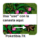 PoketibiaTK: Info de PokeXgames las 24 horas del dia: Pinkan Fruit ...