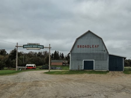 Teena in Toronto: Broadleaf Guest Ranch, New Brunswick