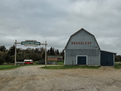 Teena in Toronto: Broadleaf Guest Ranch, New Brunswick